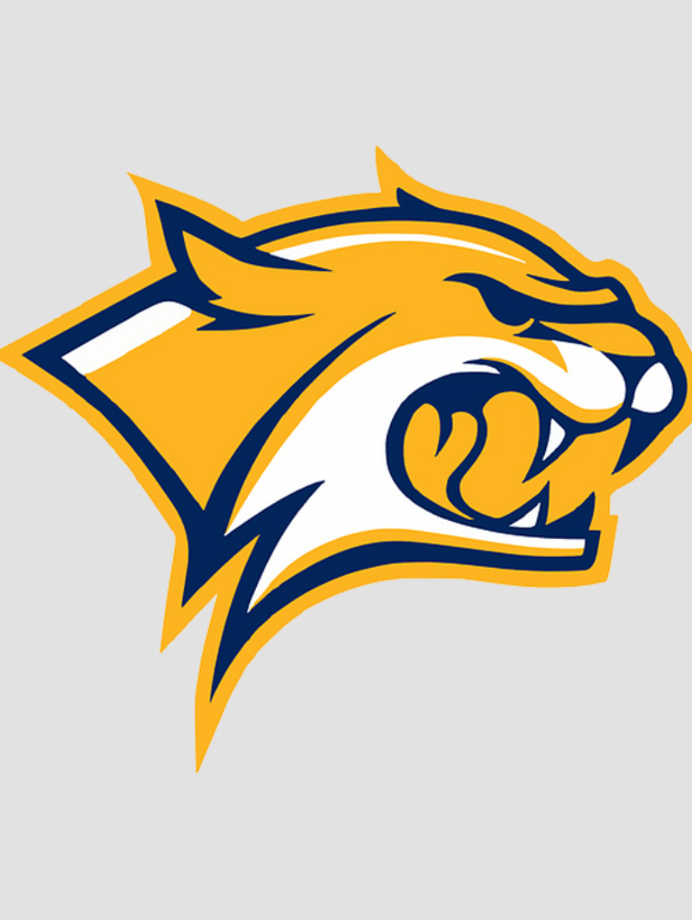 Custom Vinyl Stickers - Vinyl stickers - Vinyl for Stickers